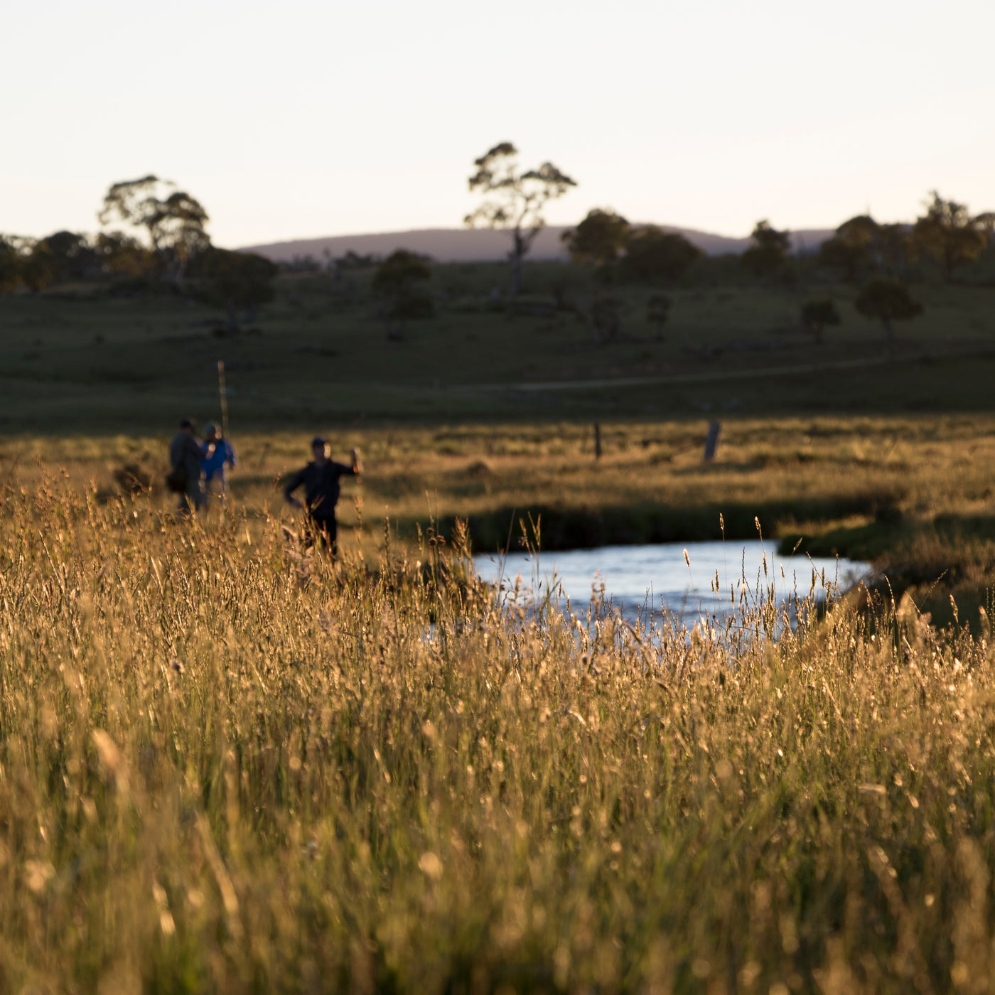 Home Page [www.kenyon.us]